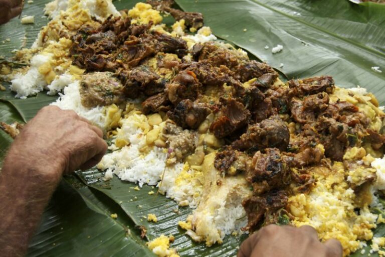 La chasse au tangue est ouverte ! – Journal.re