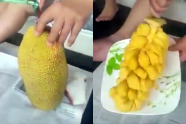 Comment ouvrir un jaque en moins de 10 secondes ? - Journal.re