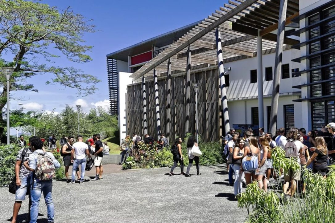 Première promotion du diplôme universitaire de langue et culture ...