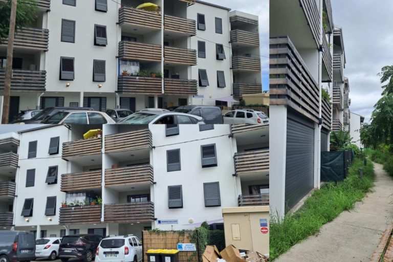 Épidémie de chikungunya à la résidence Ideno Bigey au Tampon - Journal.re