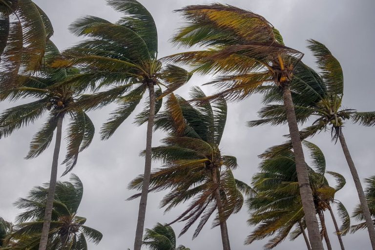 Le cyclone Garance se renforce avec des rafales jusqu'à 230 km/h ...