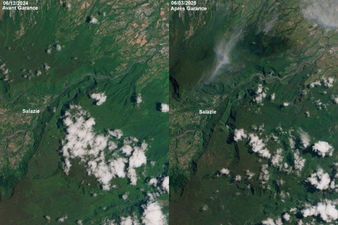 Les effets du cyclone Garance sur la végétation de La Réunion - Journal.re