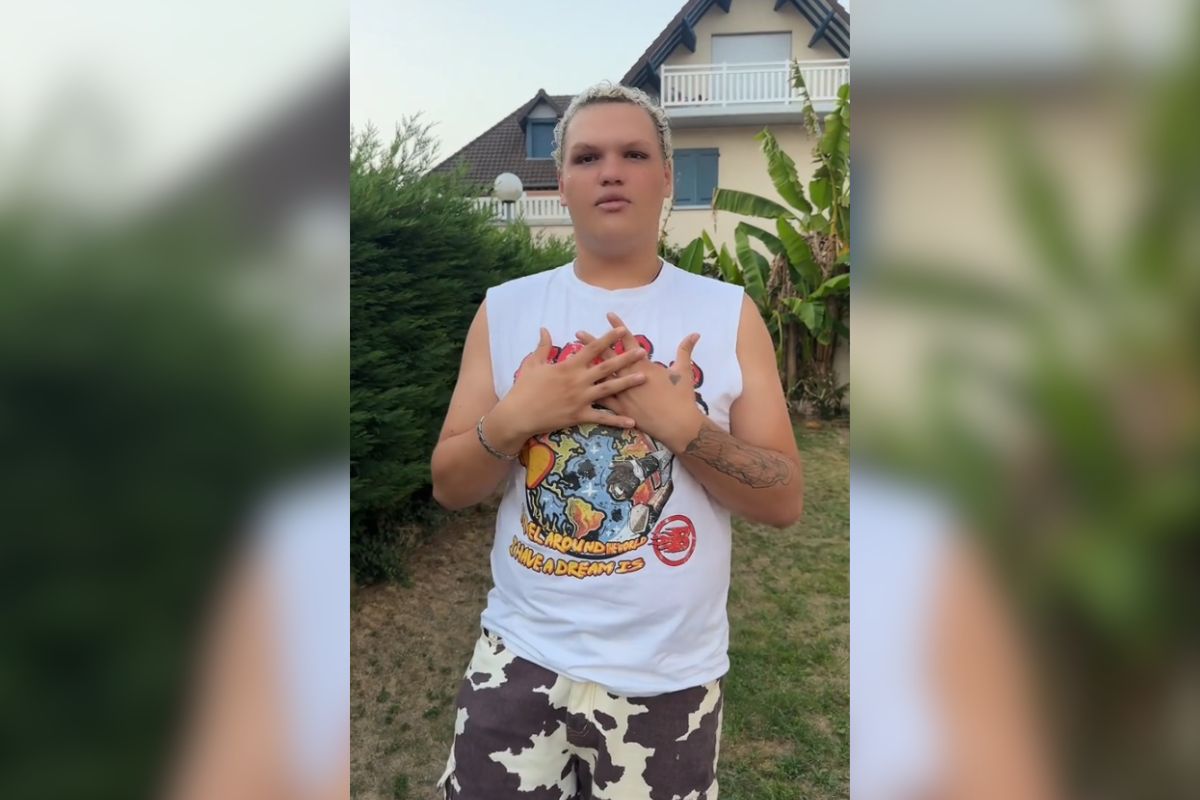 Babouk à La Réunion : l’araignée qui fait peur mais protège nos maisons ...