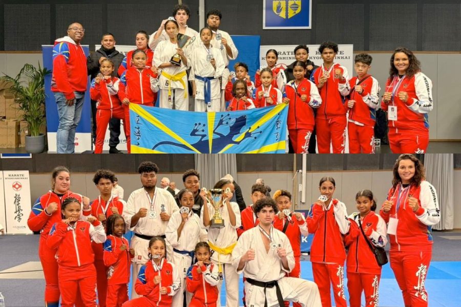 Coupe de France de kyokushinkai : le club Kim Dao brille avec 10 ...